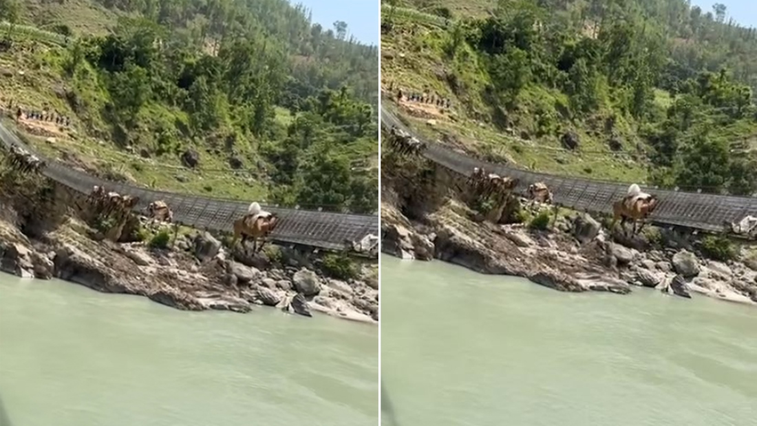 Lumbini Times | Nepal's Independent News Portal.